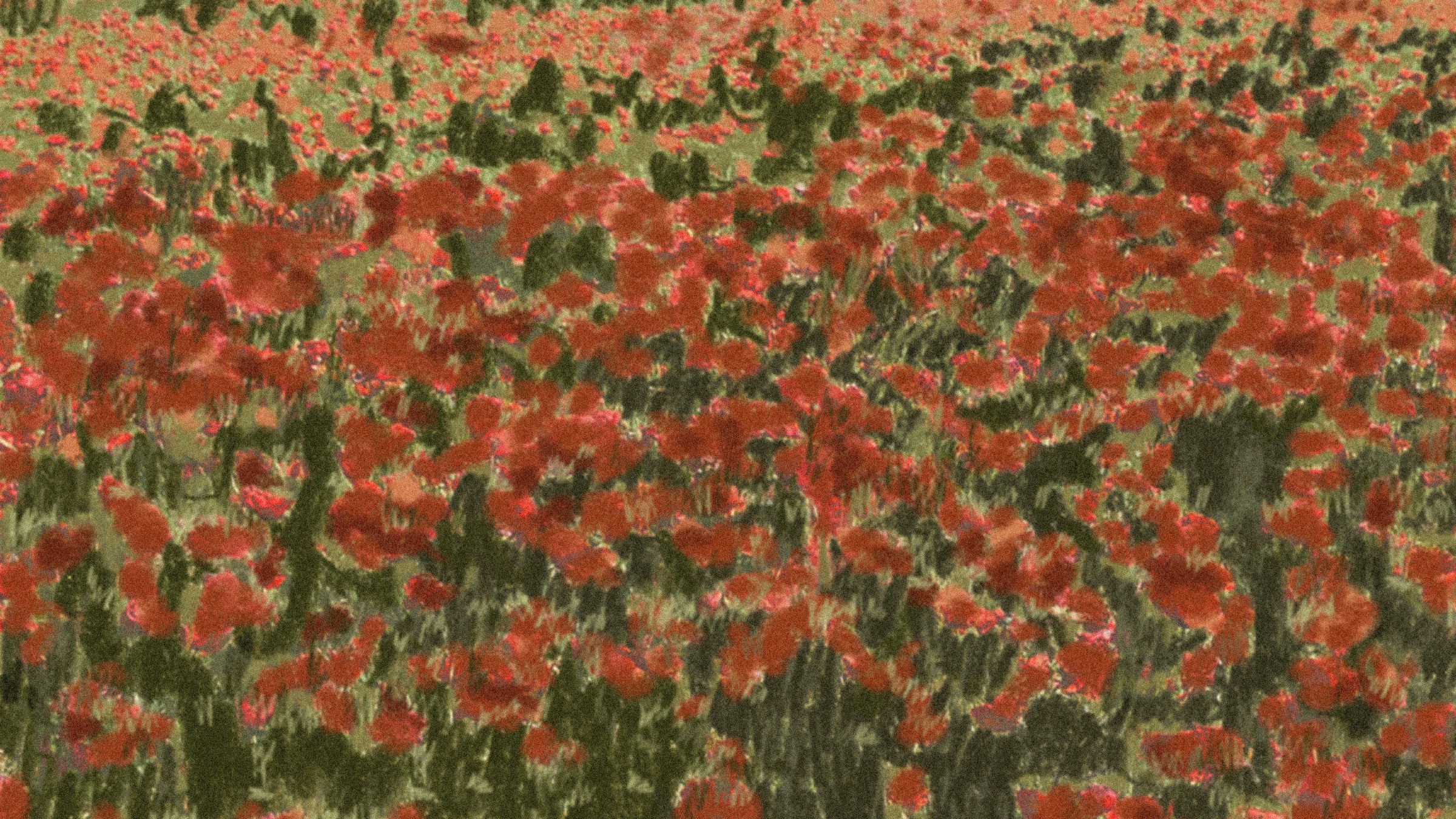 Matt Holubowski | Bonsound