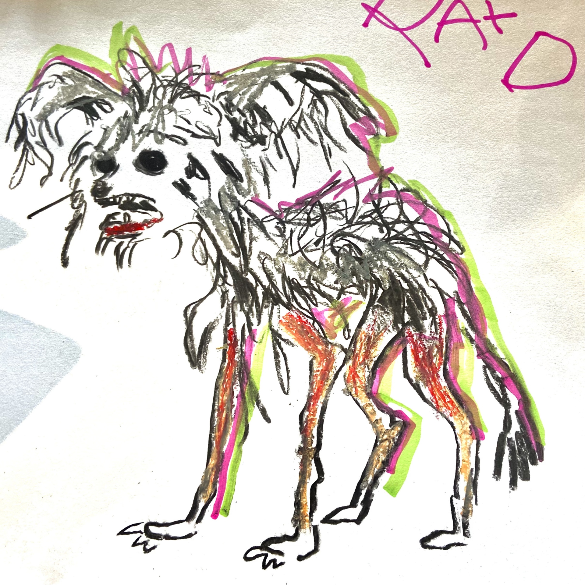 Magi Merlin lance le EP surprise A Weird Little Dog et entame une ...